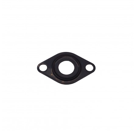 PNT100030LR - Oil Drain Gasket