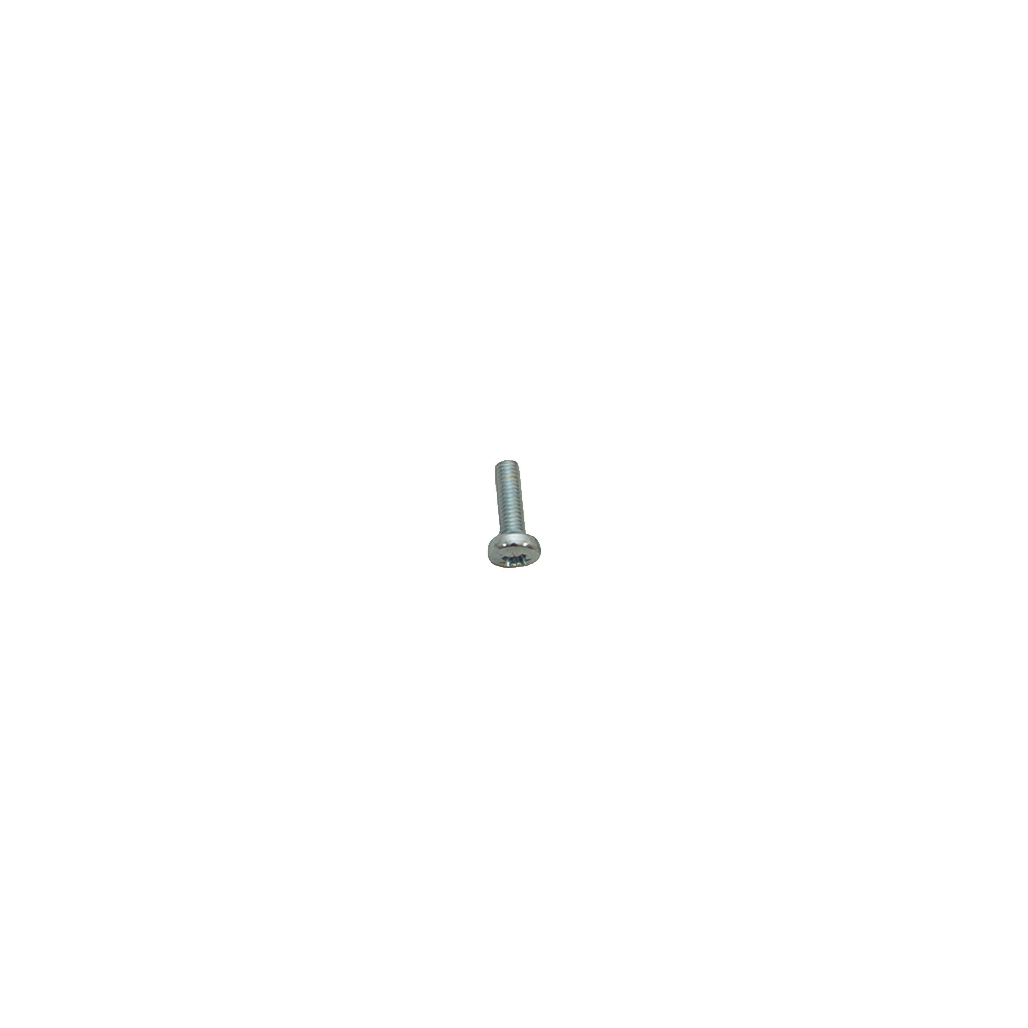 FS110351 Screw
