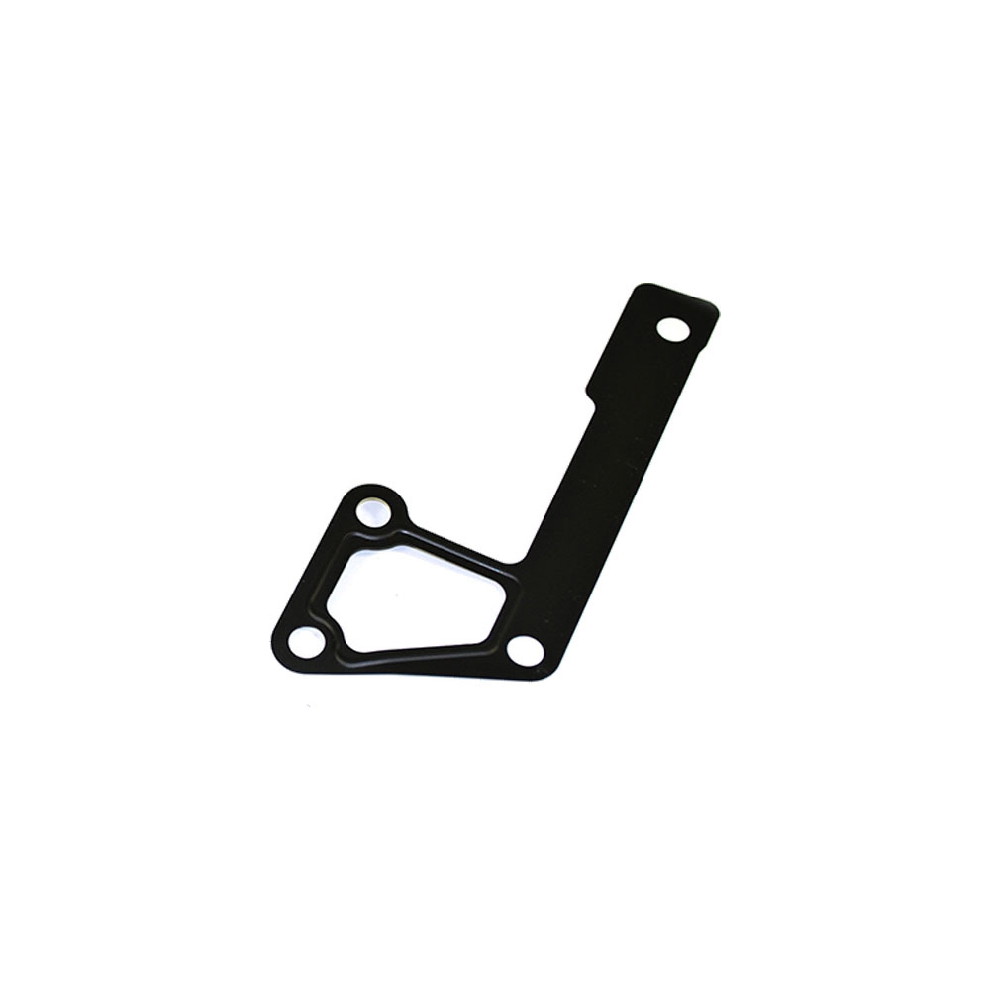PET100790 - Gasket Distance Piece to Block Water Pump 300TDI