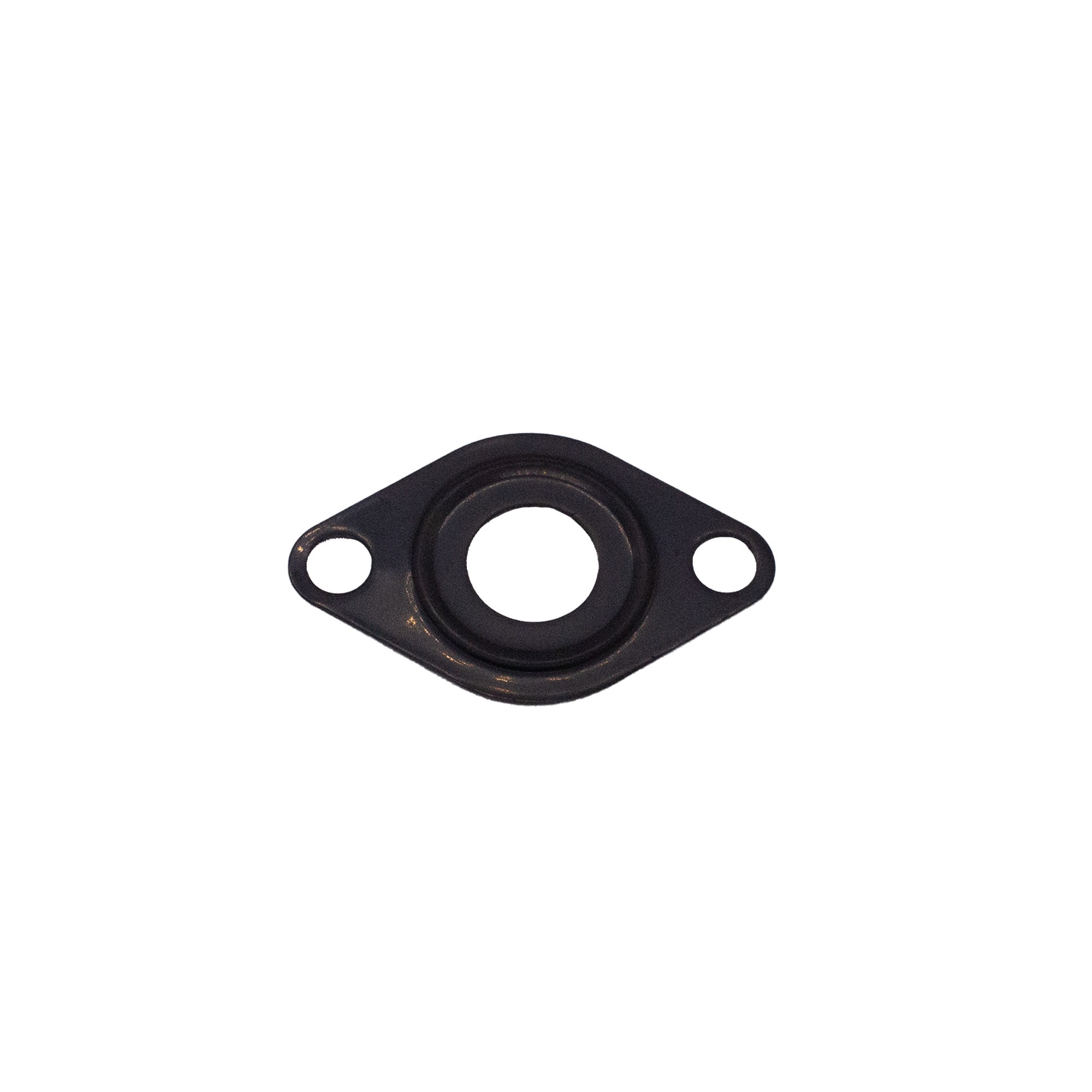 PNT100030LR - Oil Drain Gasket